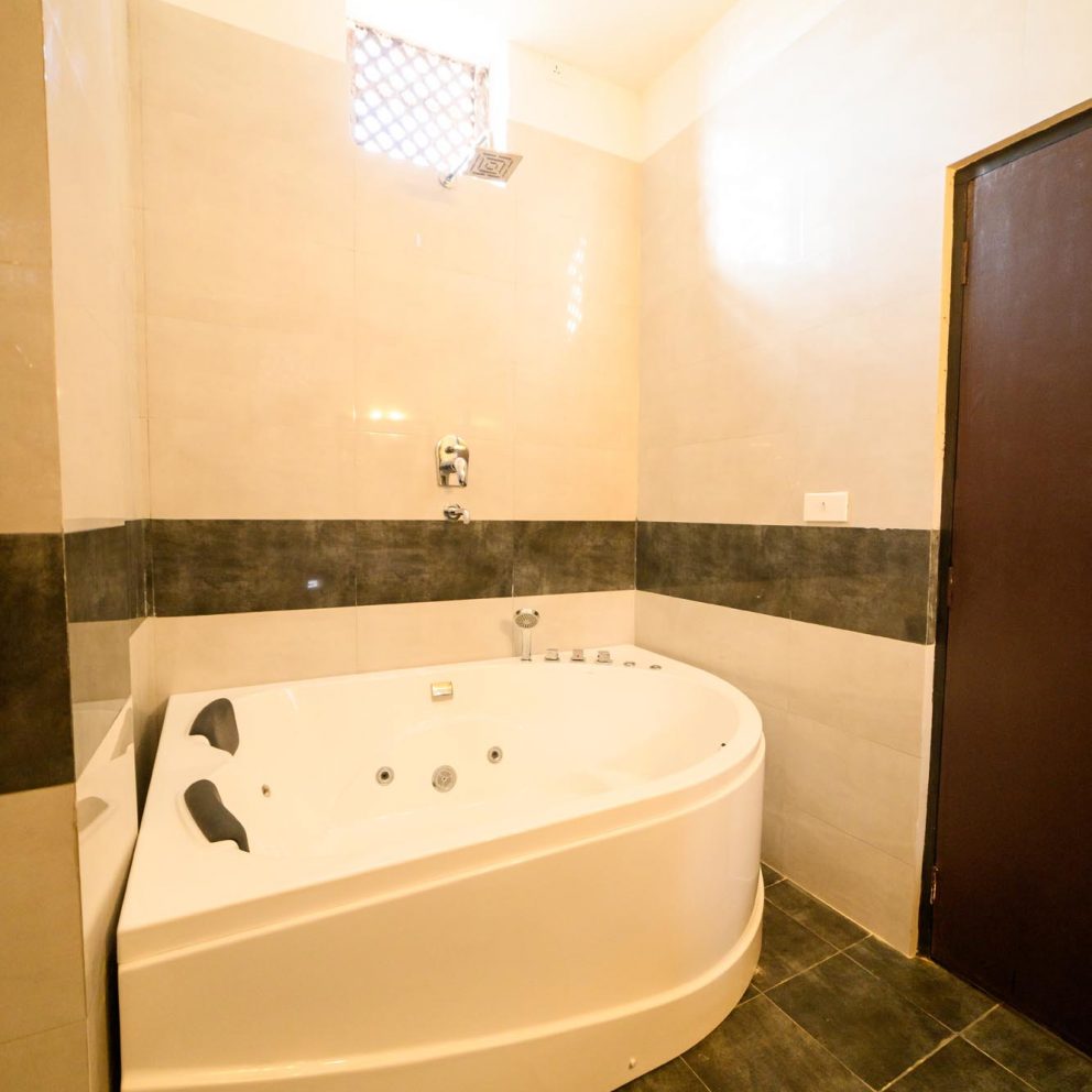 Rooms & Suites – Purna's Museum Resort